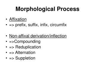 Image result for Types of Morphological Processes PDF