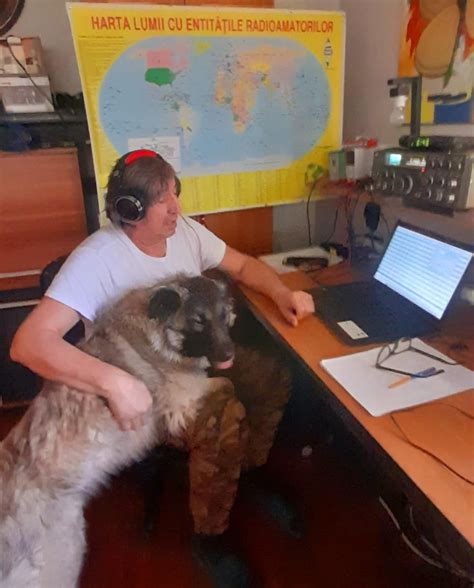 Image result for CWC Yo