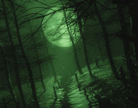 Image result for Motion Graphics Logo Intro