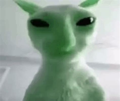 Image result for Alien Cat Meme Origin