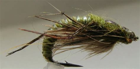Image result for Caddies Emerger Fly Pattern
