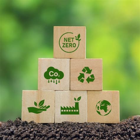 Image result for NetZero Definition