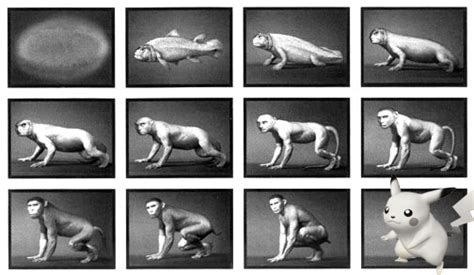 Image result for Poke Evolution