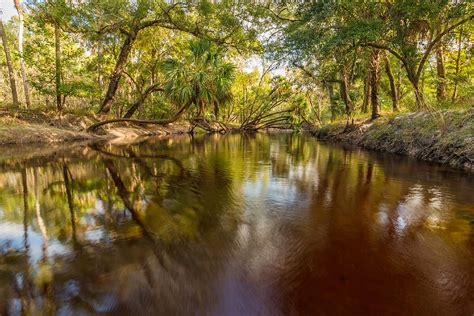 Image result for Subtle Motion