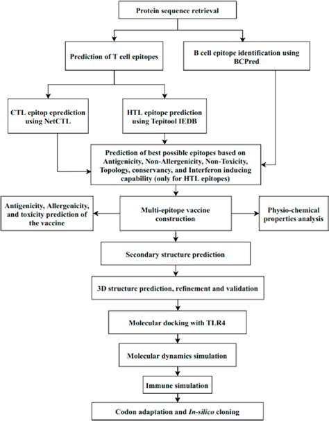 Image result for Summarizing Process