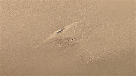 Image result for Drywall Ceiling