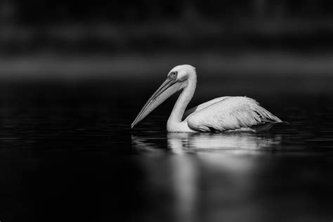 Image result for Side View 2