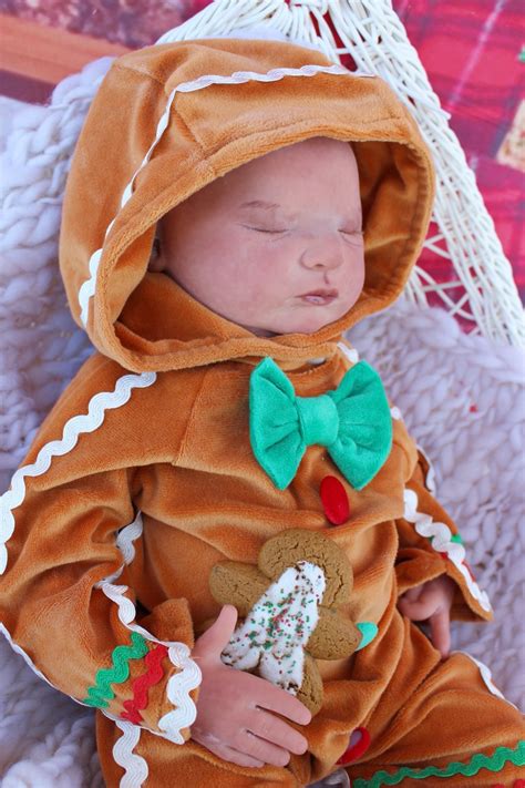 Image result for Gingerbread Maple Tree