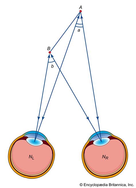 Image result for Parallax Example