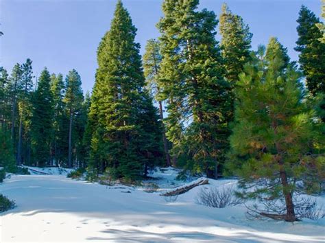 Image result for Modoc CA