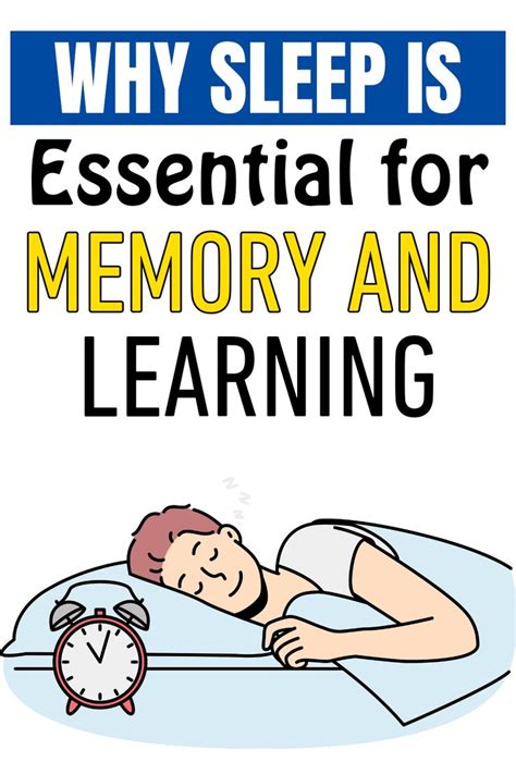 Image result for Sleep Is Essential for Learning
