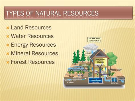 Image result for Classification of Natural Resources