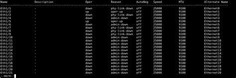 Image result for Show Interface Status Command