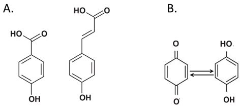 Image result for Humic Acid Structure