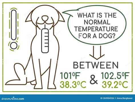 Image result for Dogs Normal Temp