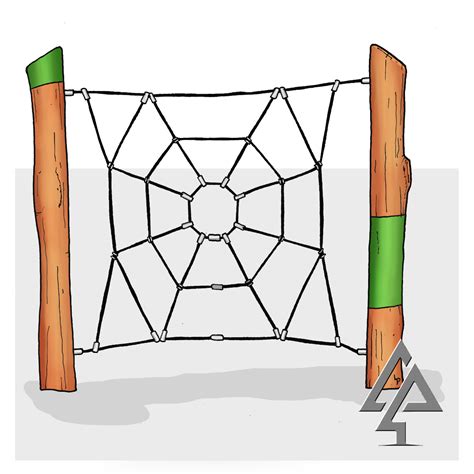 Image result for Spider Web Net