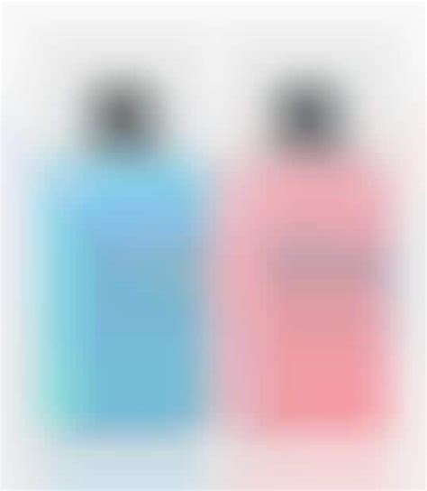 Image result for Segmentation in Marketing Examples Shampoo