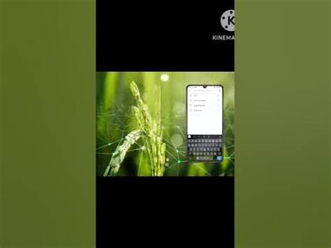 Image result for Ikasan Tutorial