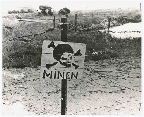 Image result for Python WW2 Minefield