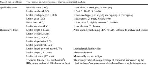 Image result for Morphological Traits Examples