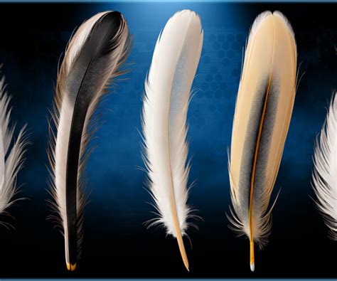 Image result for Feather Python