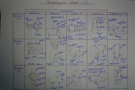 Image result for Morphological Chart Examples