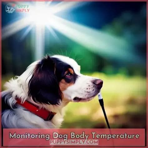 Image result for Dog Temperature Normal