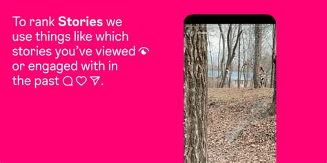 Image result for Instagram Algorithm Explained