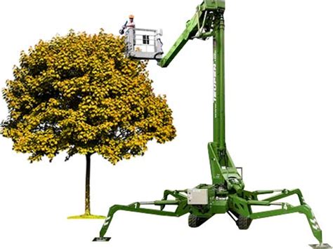 Image result for Tree Lift