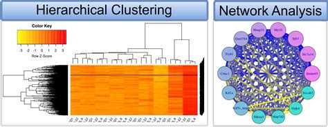 Image result for Mining Complex Types of Data