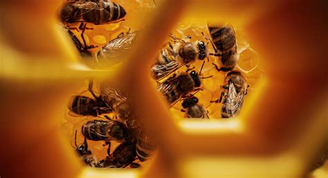 Image result for Strategic Operating Model