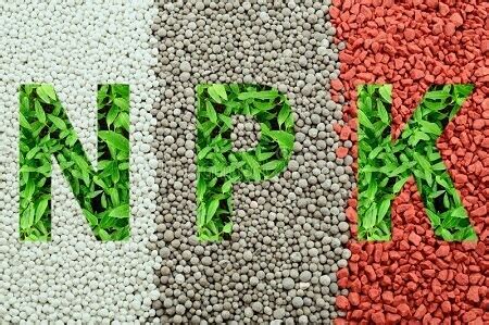 Image result for NPK Explained