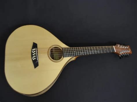 Image result for 10 String Mandolin