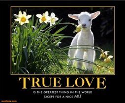 Image result for True Love Inverted Princess Bride