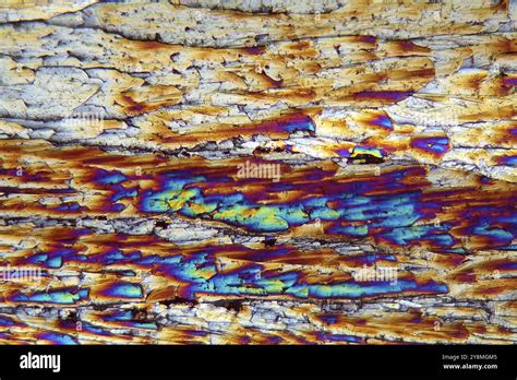 Image result for Copper Under Microscope