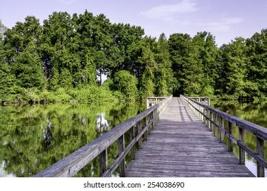 Image result for Decatur Al Webcam