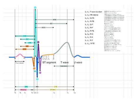 Image result for ECG Dataset Feature Extraction