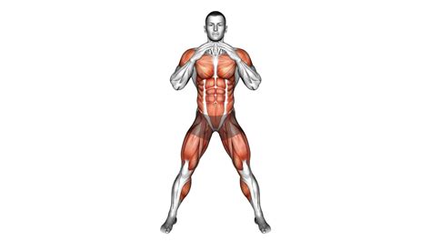 Image result for Body Composition Muscle
