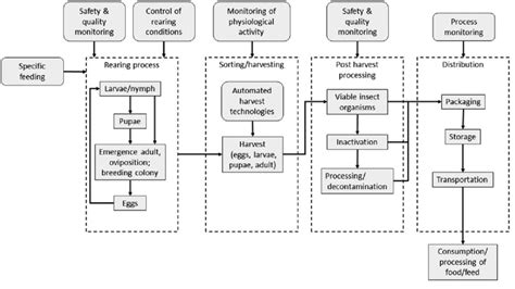 Image result for Insect Production