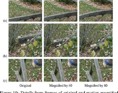 Image result for Motion Magnification