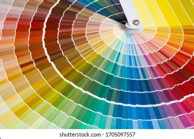 Image result for Paint Color Guide