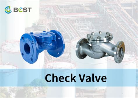 Image result for Garbage Disposal Check Valve