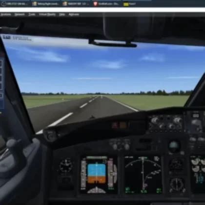 Image result for fly vision simulation