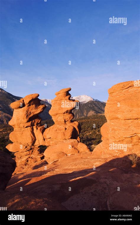 Image result for Java Island Siamese Twins