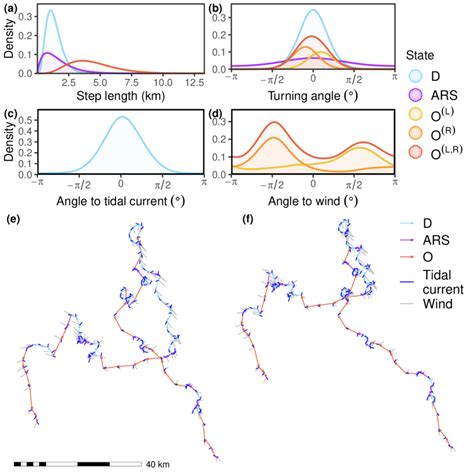 Image result for Step Back Line Distribution