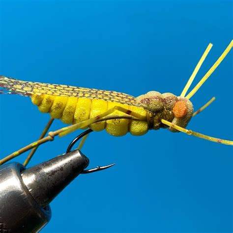 Image result for Fly Tying Hopper Patterns