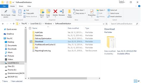 Image result for ProgramData Package Cache