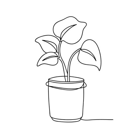 Image result for Object Line Drawing