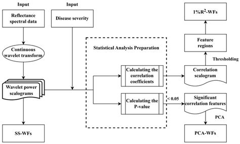 Image result for Wavelet Feature Extraction
