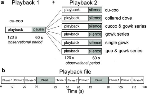Image result for Playback Module How to Add Files